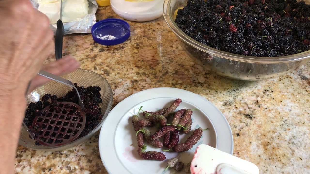 Amazing Mulberry Pie Recipe with Custard - YouTube