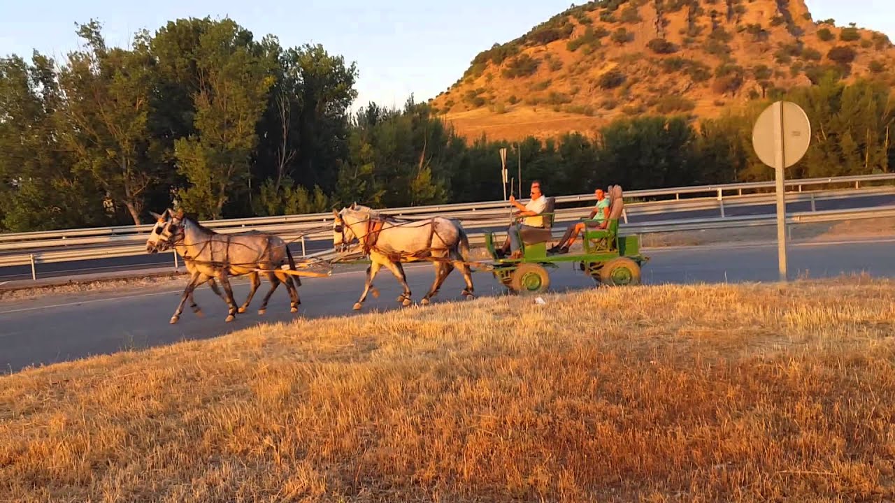 Enganche de cuatro mulas preciosas - YouTube