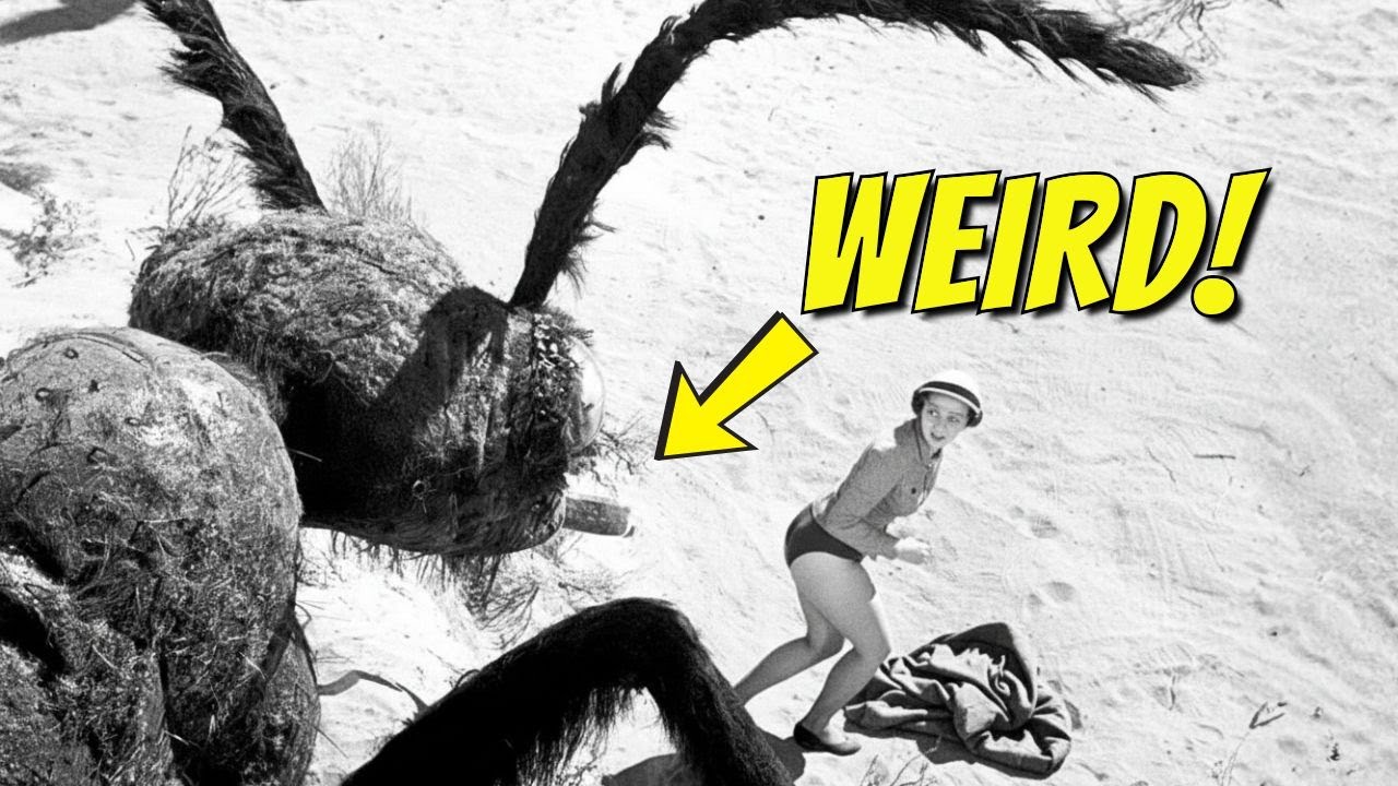 THEM! (1954) : 16 Weird Things The Directors Tried To Hide - YouTube