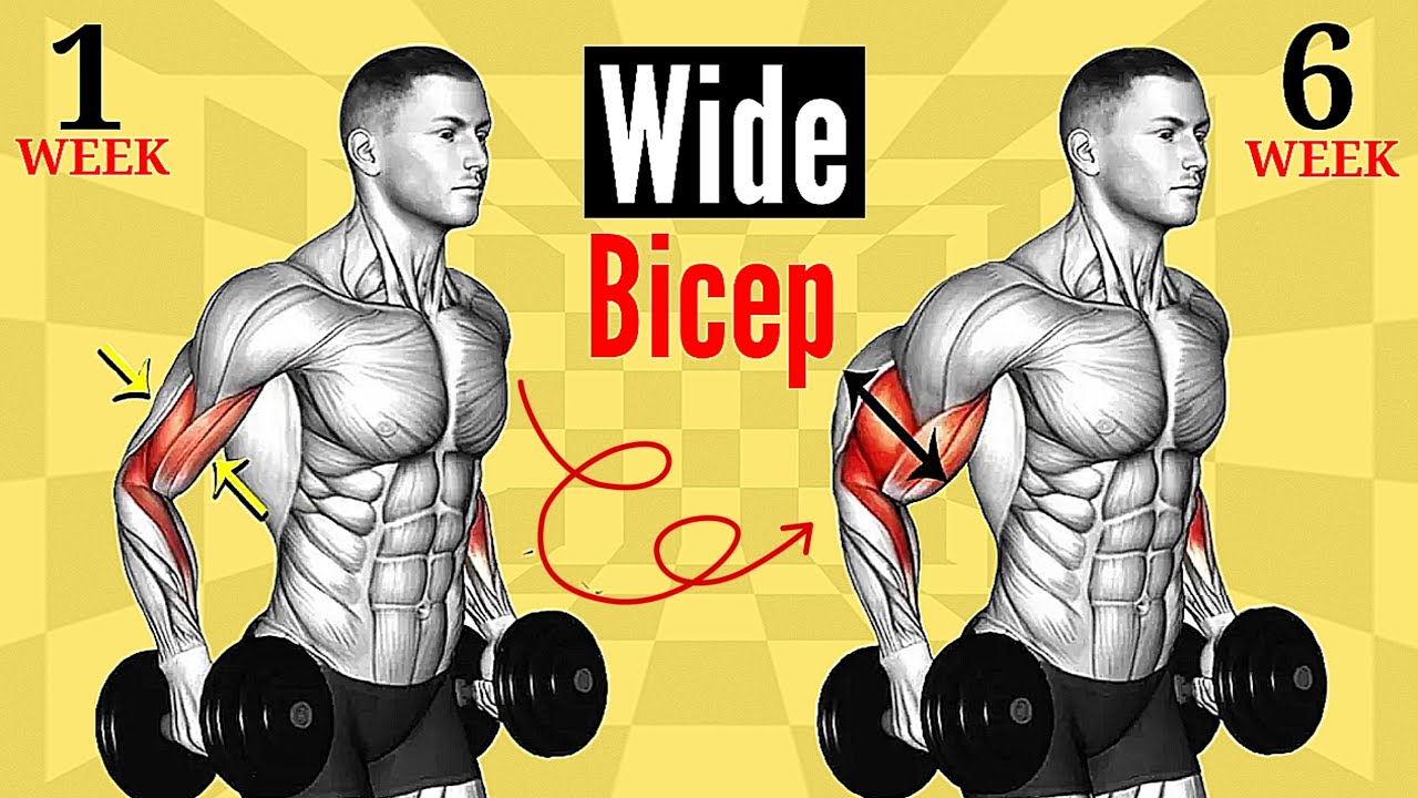 8 Latihan TERBAIK untuk Bisep yang LEBIH LEBAR - YouTube