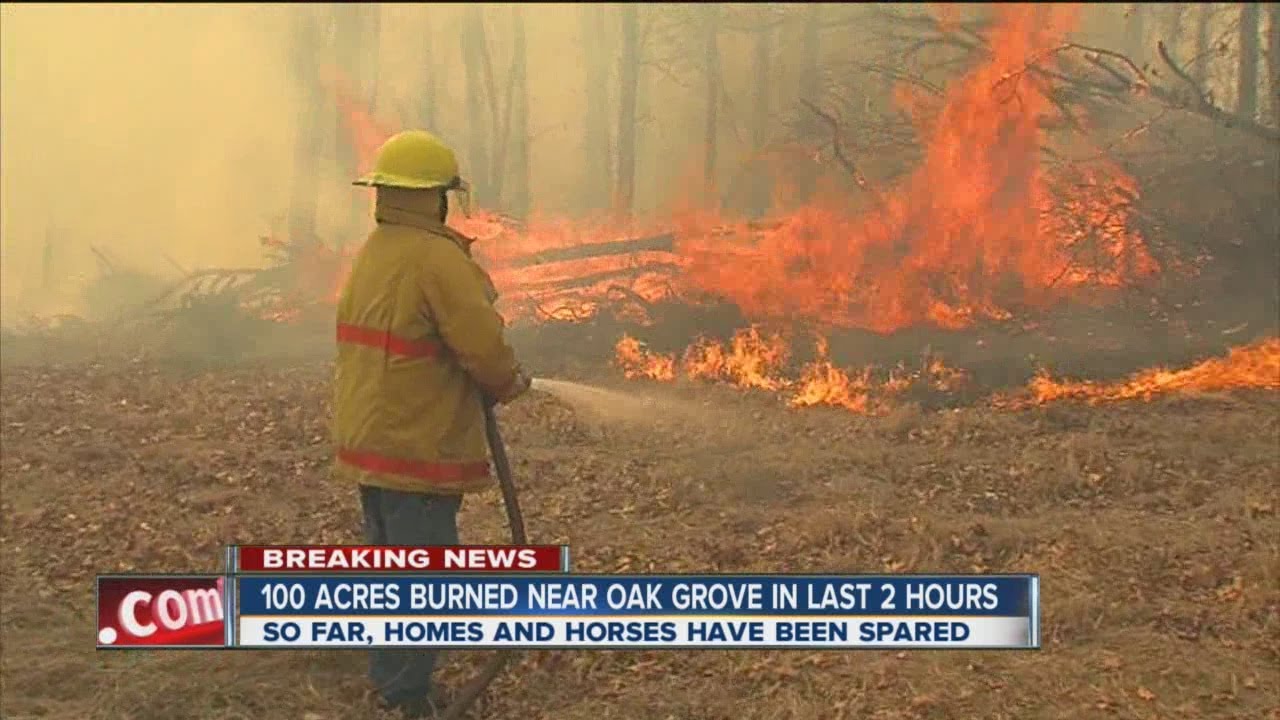 Breaking - Wildfire Outbreak - YouTube