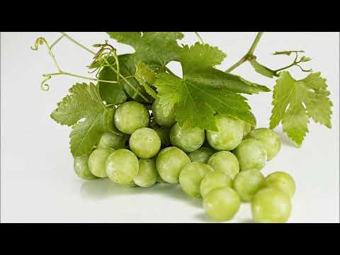 RÜYADA ÜZÜM TOPLAMAK