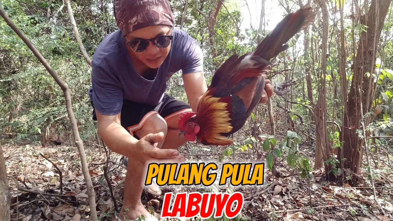 kitang kita Pulang pula at tayong tayo Ang palong Ng labuyo nato - YouTube