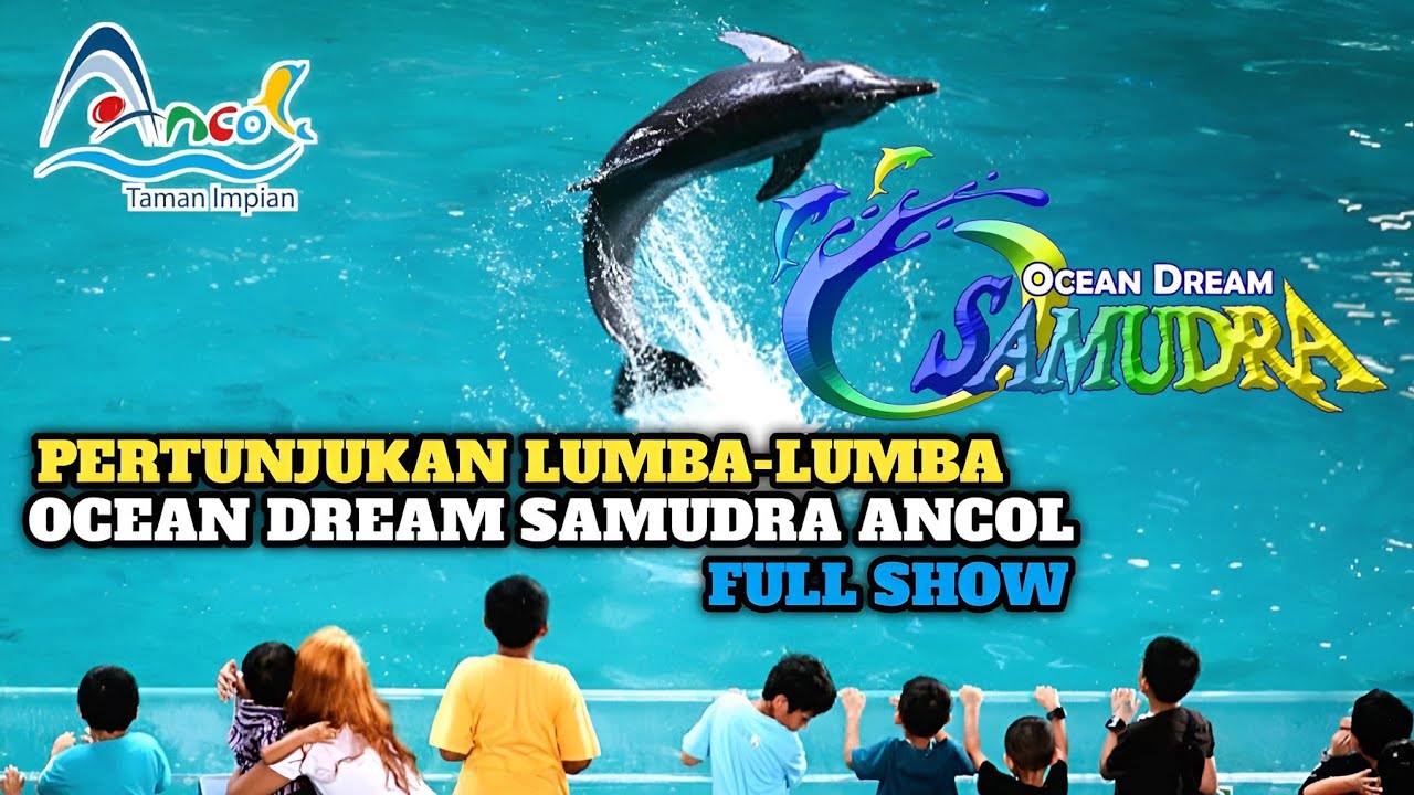 Pertunjukan Lumba-Lumba Ocean Dream Samudra Ancol || Full Show - YouTube