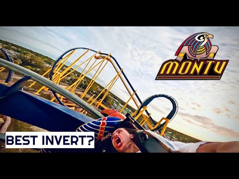 Montu FIRST TIME REACTION POV 4K Busch Gardens Tampa Bay - YouTube