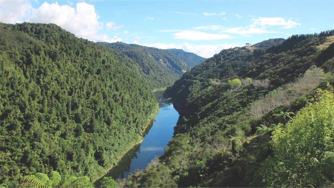 Whanganui River Road Pipiriki to Parikino - YouTube
