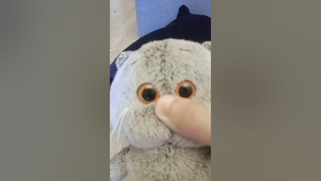 пип пип🤣 - YouTube