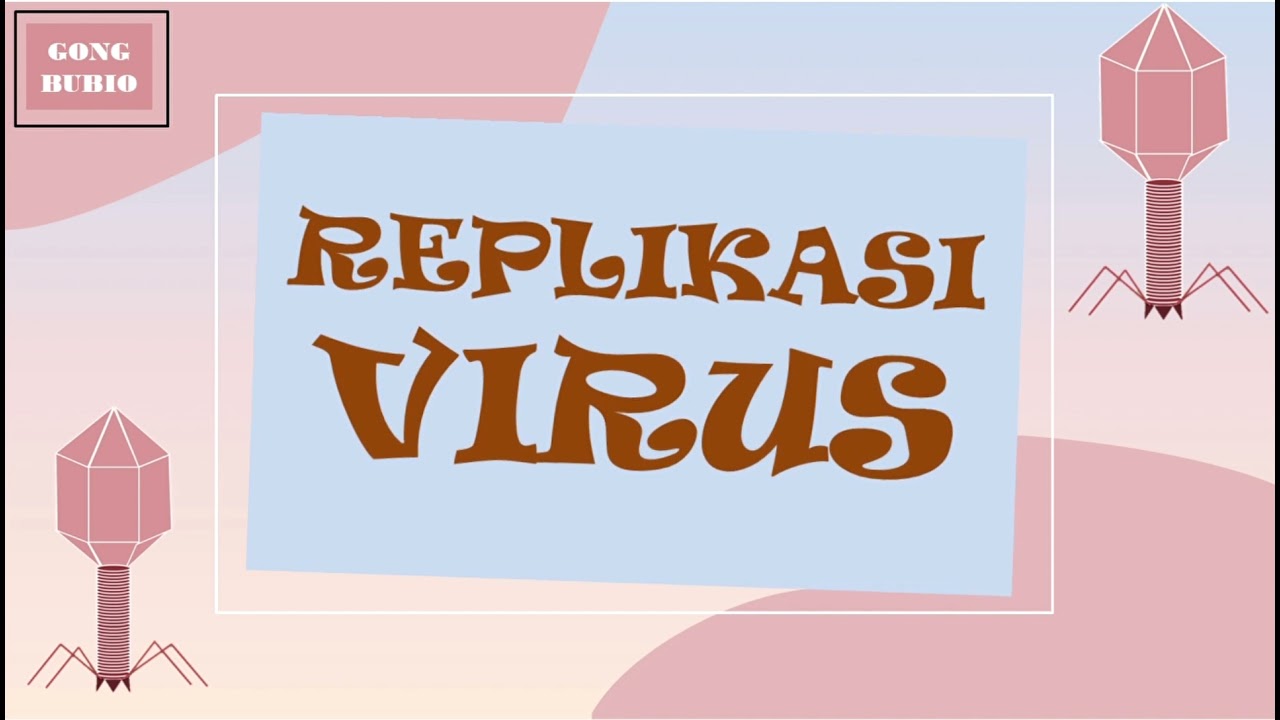 REPLIKASI VIRUS (SIKLUS LITIK DAN SIKLUS LISOGENIK) - YouTube