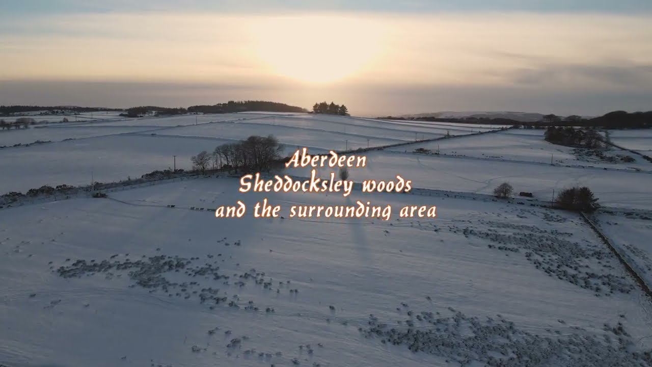 Prosper Mind - Ray of Light (4K / 432Hz / Ambient) - YouTube