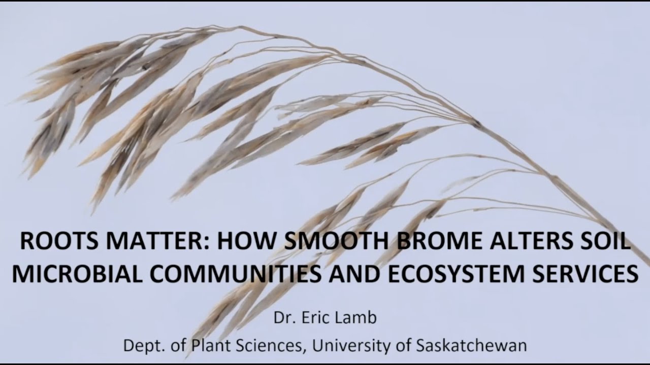 Roots Matter: How Smooth Brome Alters Structure of Soil Microbial ...