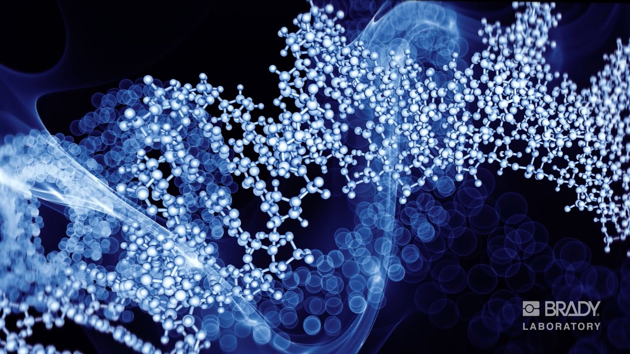 Brady Laboratory Identification Solutions - YouTube