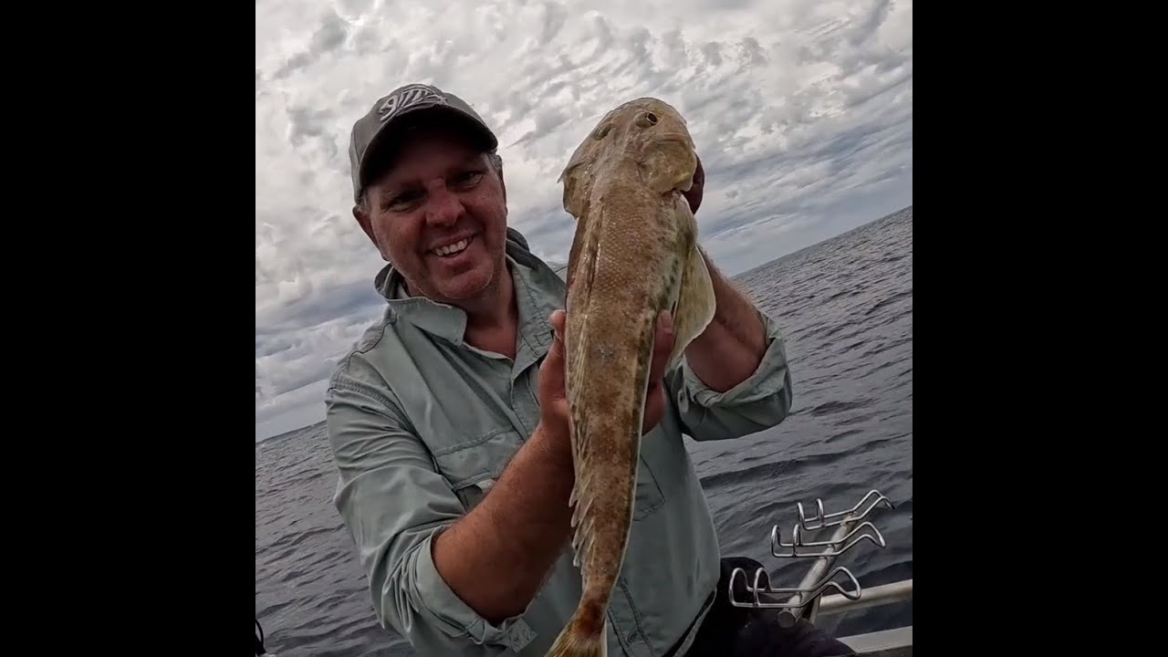Portland Tiger Flathead at Bridgewater. - YouTube
