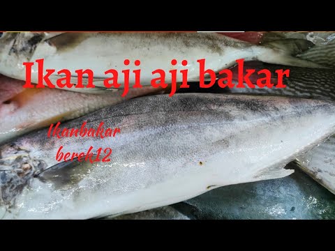 Cara bakar ikan aji aji guna dapur arang tanah liat - YouTube