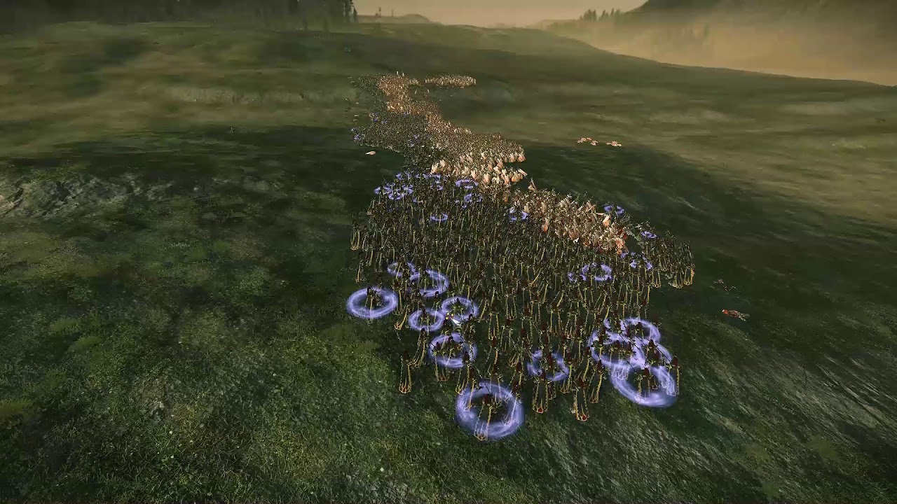 Black Guards 1426 VS 1426 Phoenix Guards - Total War: Warhammer 2 - YouTube