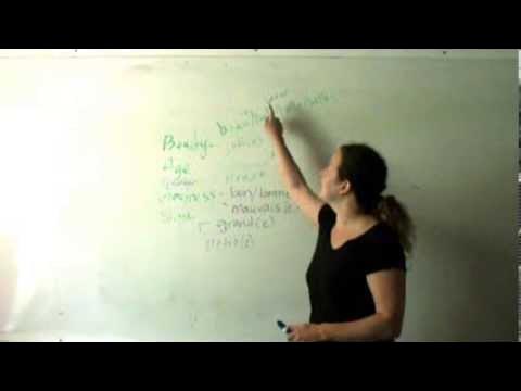 Adjectives: BAGS; Beau, Nouveau, Vieux in French - YouTube