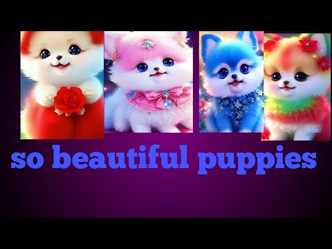 so amazing puppies///so cute puppies//so sweet and lovely puppies//so ...