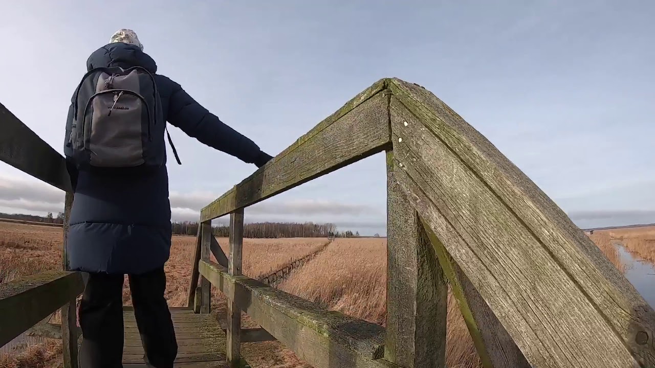 Vandring kring Tåkern och Omberg 200125 - YouTube