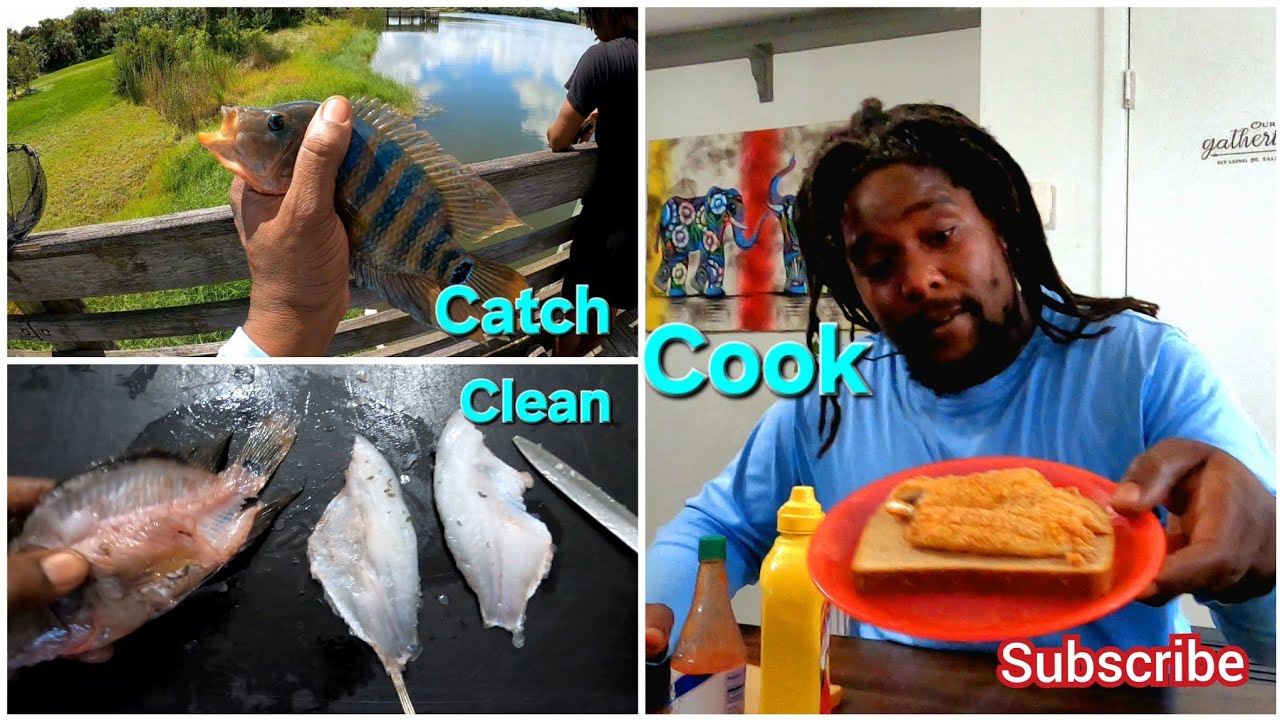 Eating INVASIVE Species Cichlid (Catch clean cook) - YouTube