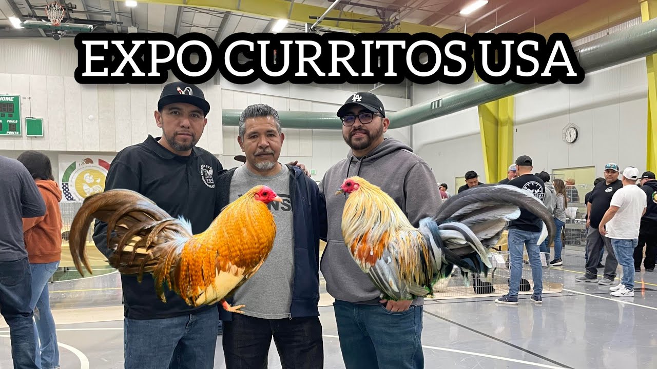 EXPO CURRITOS USA english sub. PARTE 1 - YouTube
