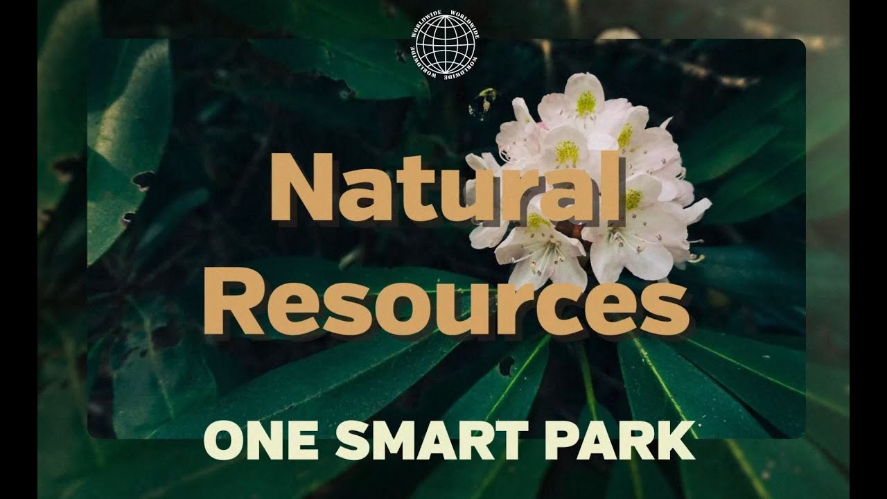 Field: Natural Resources Collection - YouTube
