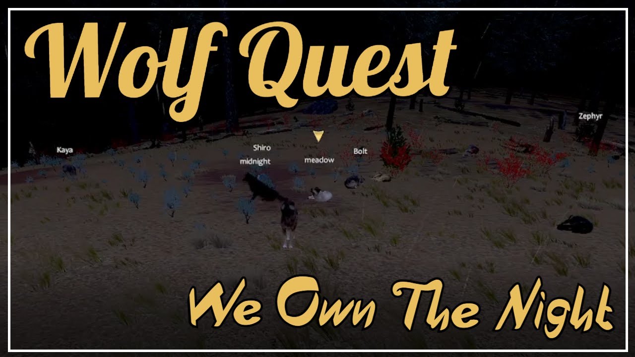 We Own The Night! 🐺 WOLF QUEST: Music Video (Staring Cypress) - YouTube