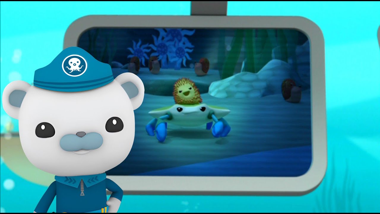 Octonauts - Creature Report - Crab & Urchin (UK) - YouTube