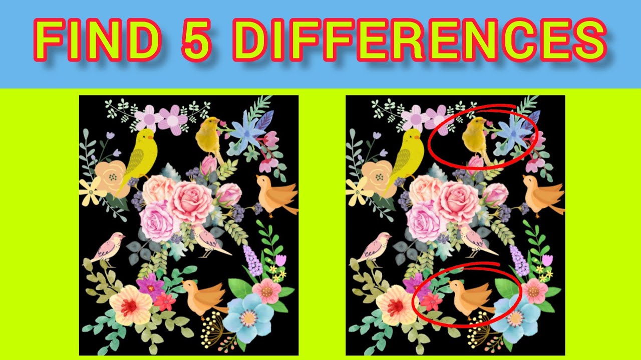 Find 5 Differences In The Flowers And Birds Pictures - YouTube