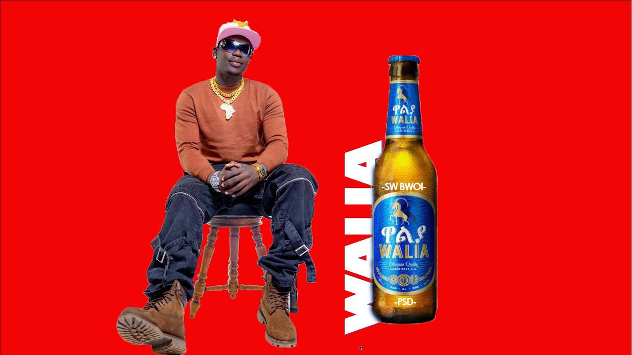 SW BWOI X PSD - WALIA (Official Audio) - YouTube