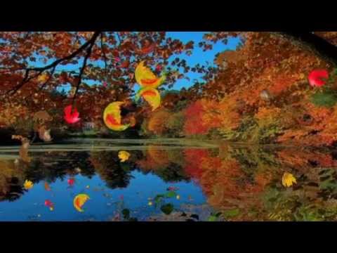 Autumn Leaves (Les Feuilles Mortes) – Electro Jazz Reggae Cover  – Cosmopolitan Concord