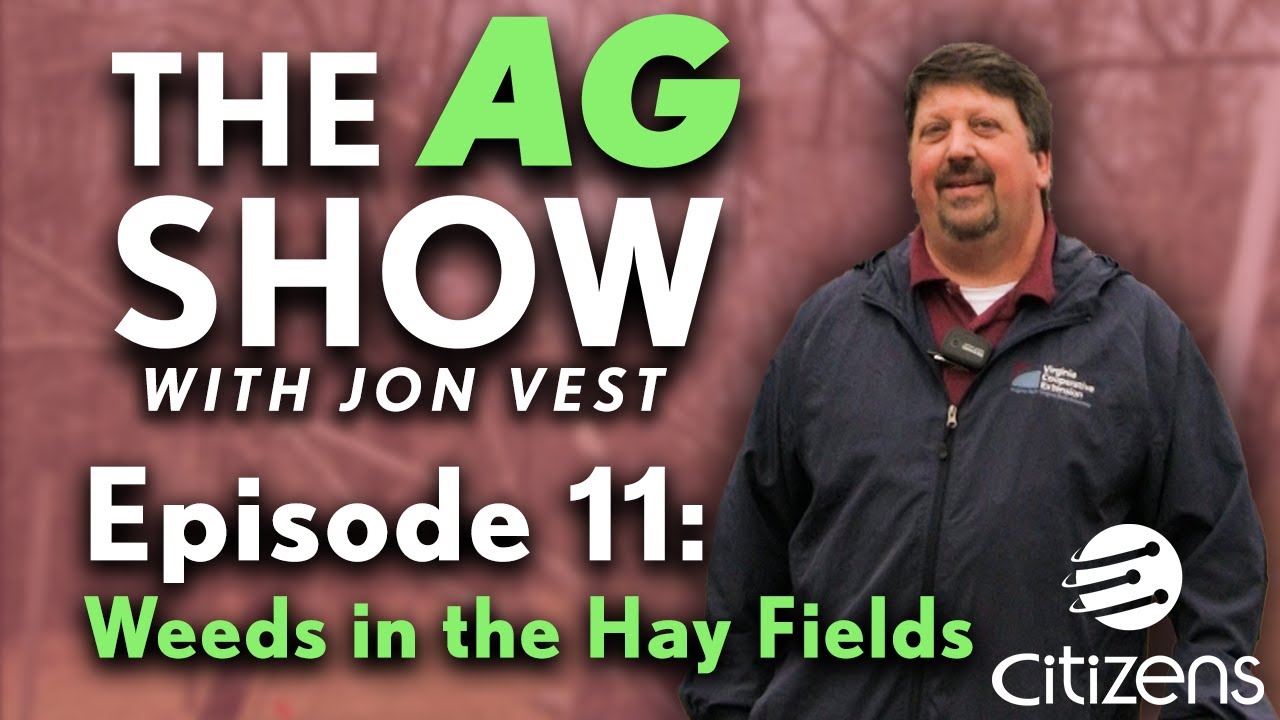 The Ag Show: Hay Field Weeds - YouTube