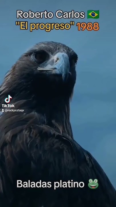 Roberto Carlos 🇧🇷. "El progreso" - YouTube