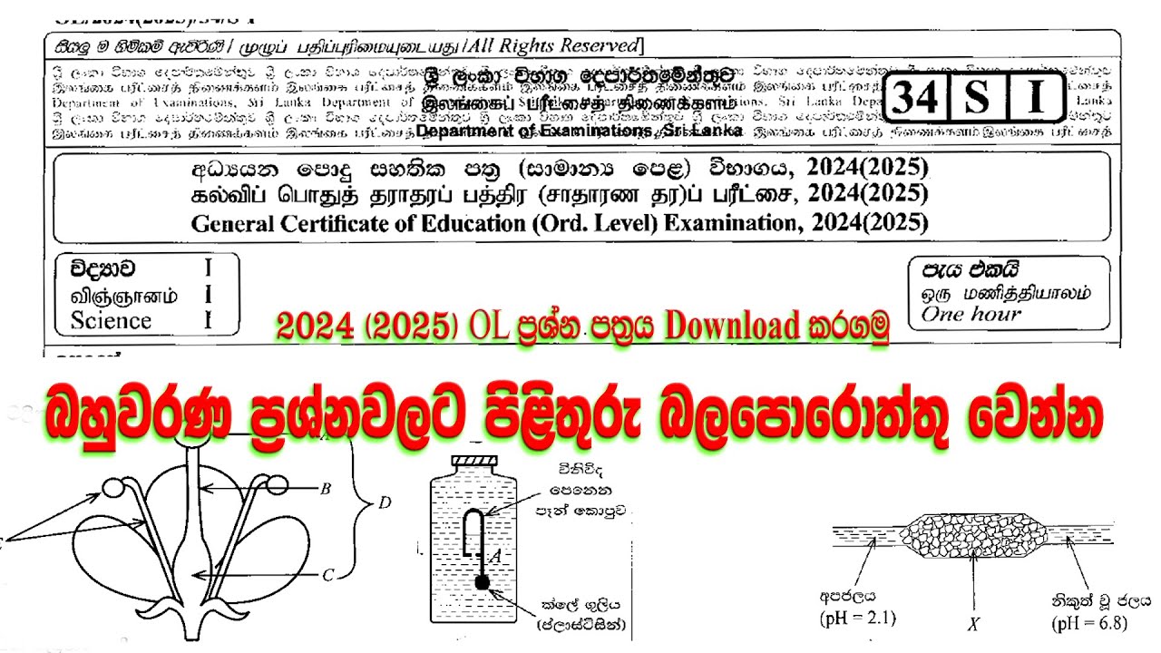 024 (2025) OL Science Paper Downlead #OL #science #paper #2024 #2025 ...