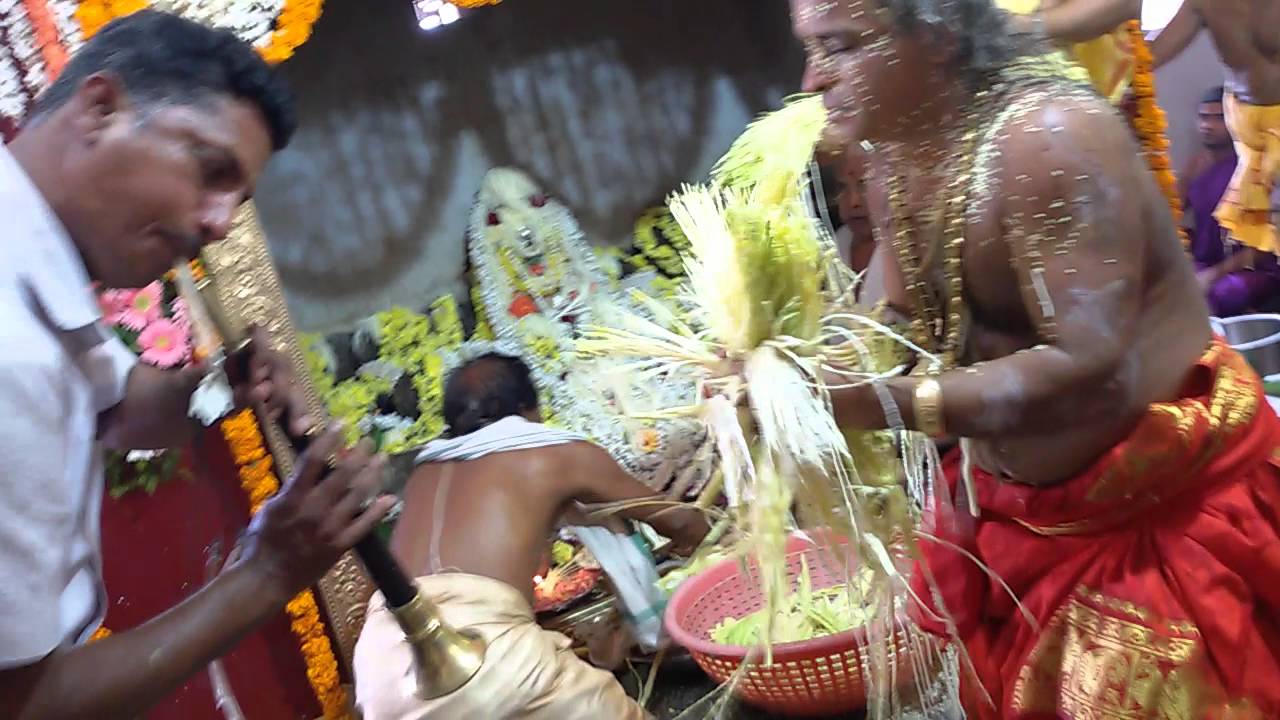 Naga Darshana (Sandarshana ) - YouTube