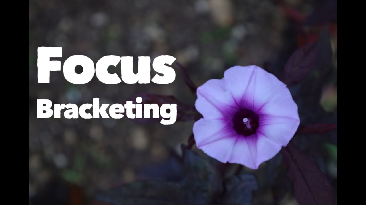 ¿Cómo funciona el Focus Bracketing? - YouTube