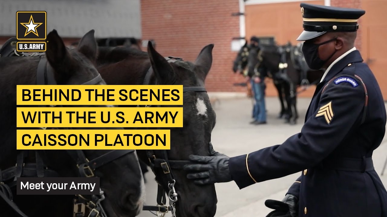 Army Behind the Scenes: U.S. Army Caisson Platoon | U.S. Army - YouTube