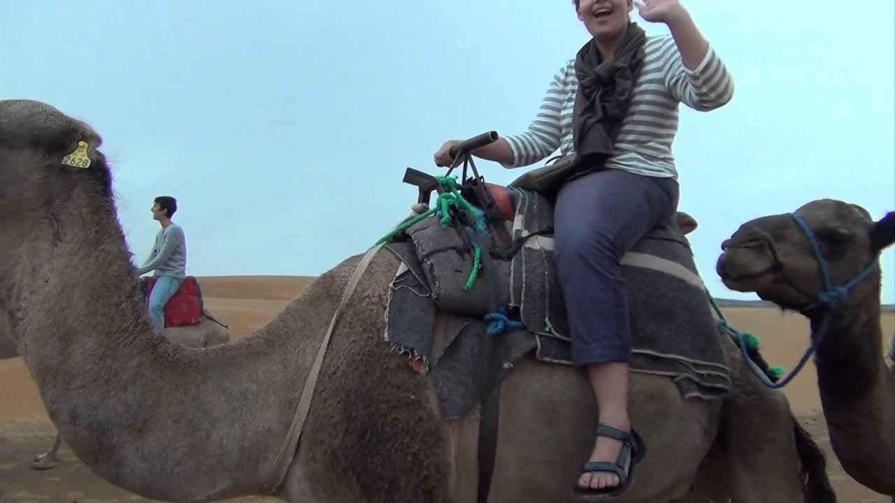 SIT Morocco: Multiculturalism & Human Rights | Weeks 3 & 4 - YouTube