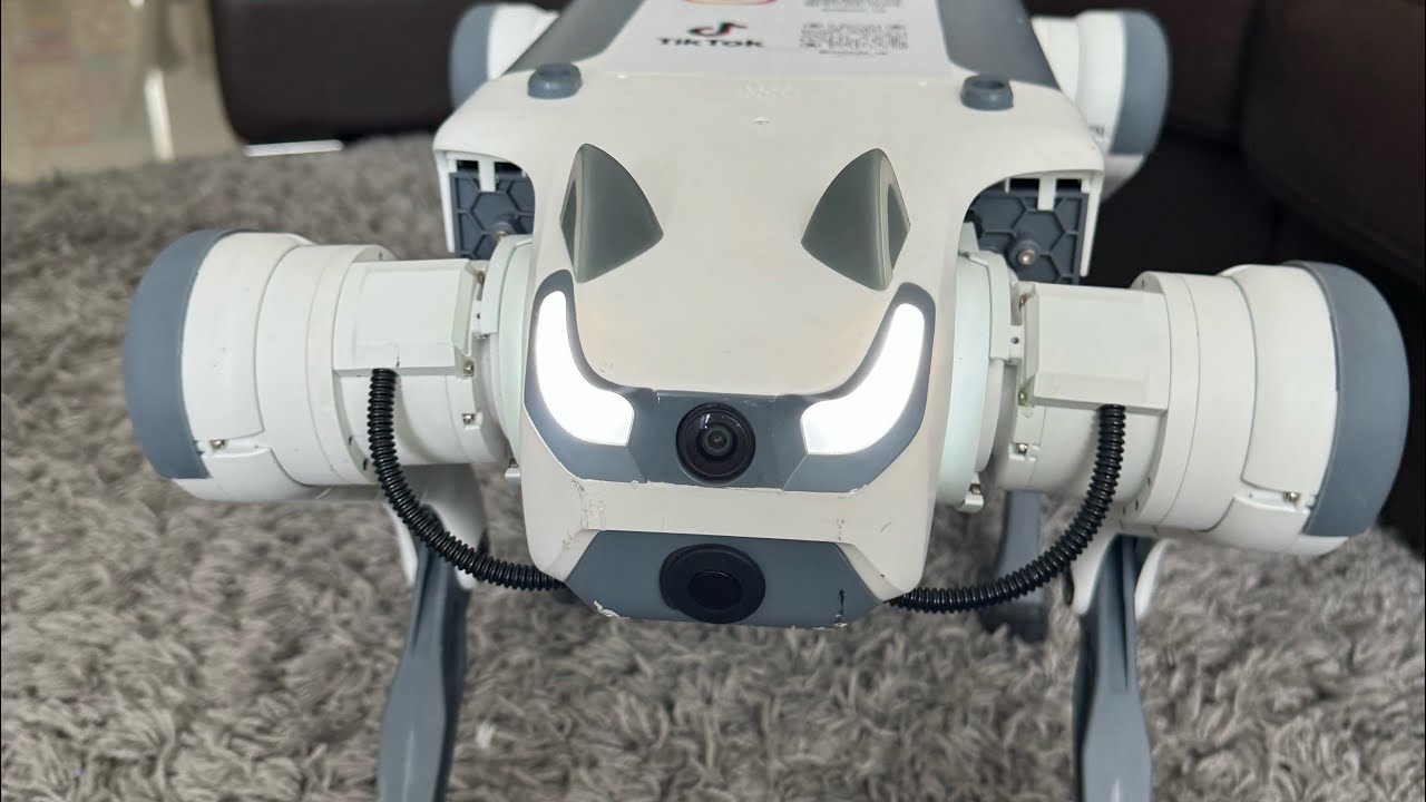 Dorry x1 Omoda robot dog - YouTube