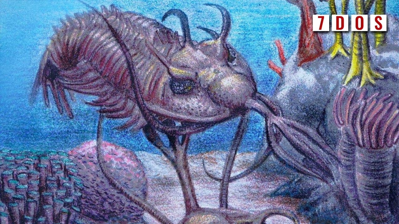 Trilobites Used Tridents to Joust 400 Million Years Ago | 7 Days of ...