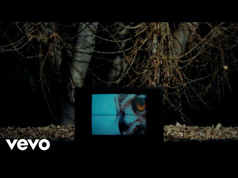 nayt feat. Elisa - Stupido pensiero (Visual)