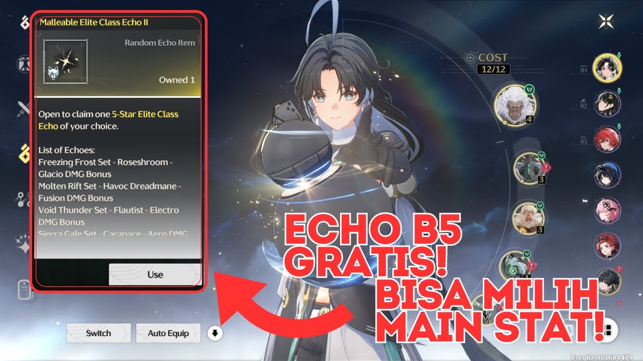 Cara Dapetin Echo B5 Gratis! Cara dapat + Pakai Malleable Elite Class Echo -Wuthering Waves ...
