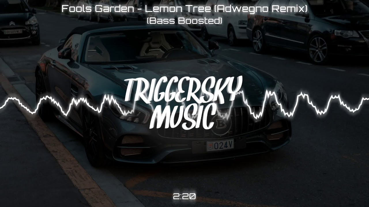 Fools Garden - Lemon Tree (Adwegno Remix) (Bass Boosted) - YouTube