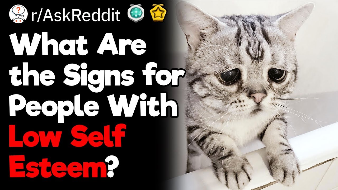 What Screams I Have Low Self Esteem YouTube what-screams-i-have-low-self-esteem-youtube