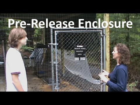 Pre-release enclosures - YouTube