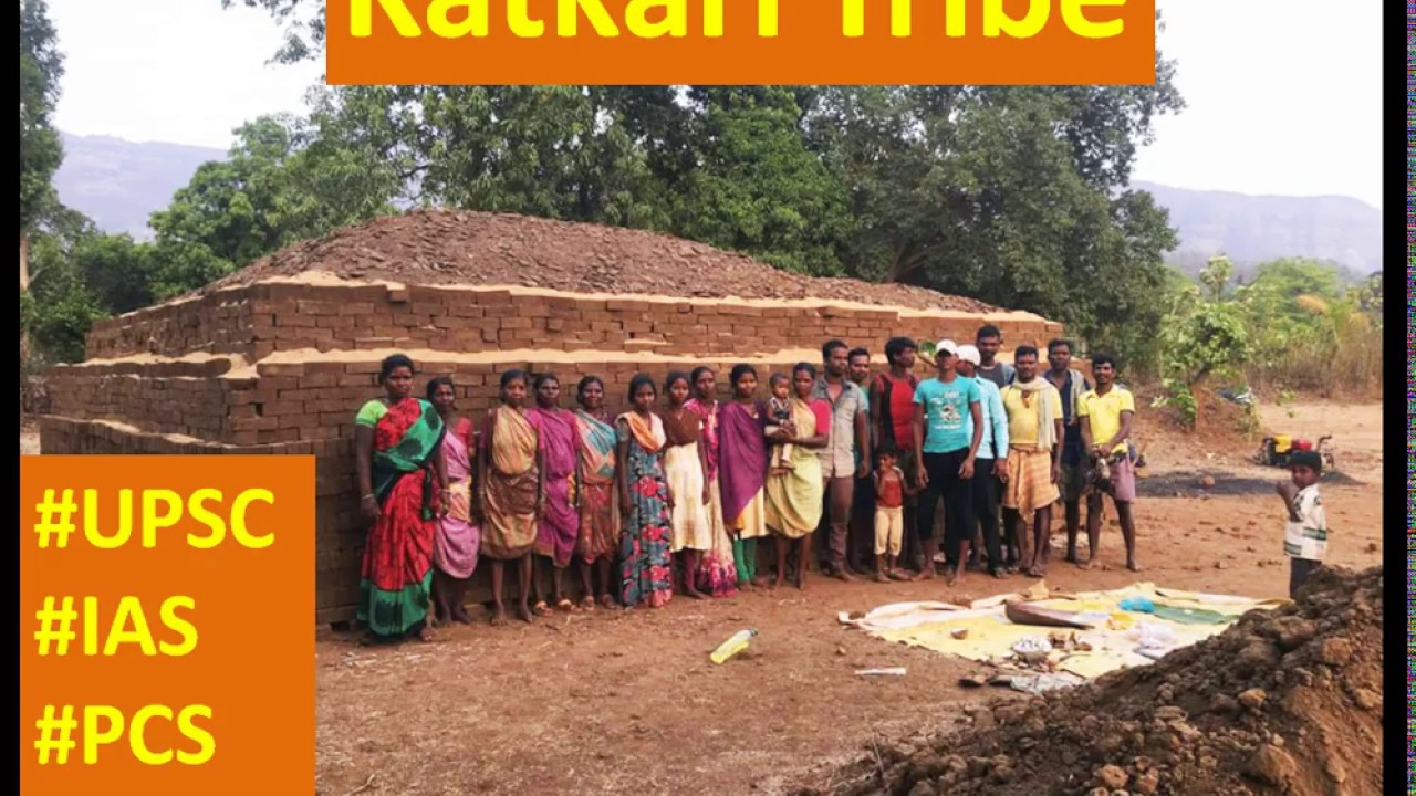 Katkari Tribe # Katkari tribal youths bring benefits of Giloy to ...