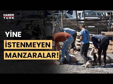 Bayramın ilk gününde kaçak kurban kesenler görüldü!