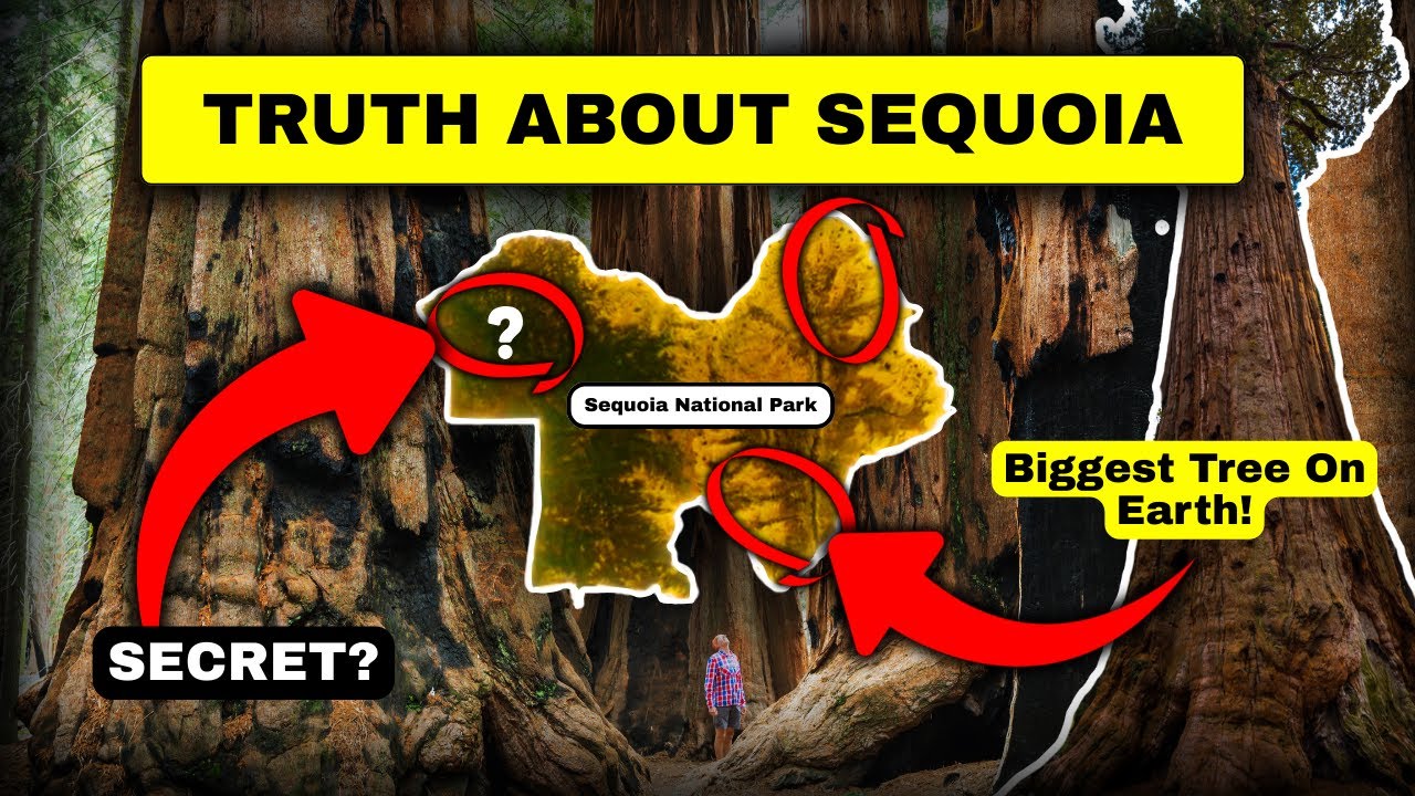 50 Shocking Facts About Sequoia National Park (You've Never Heard ...