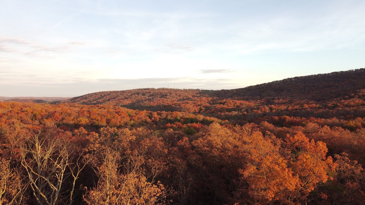 FALL IN VIRGINIA 2021 || AUTUMN 2021 - YouTube