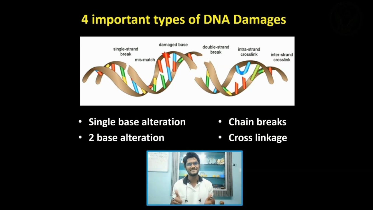 DNA Damages | Single Base | TT Dimer | Cross Links| Chain Break | Tamil ...
