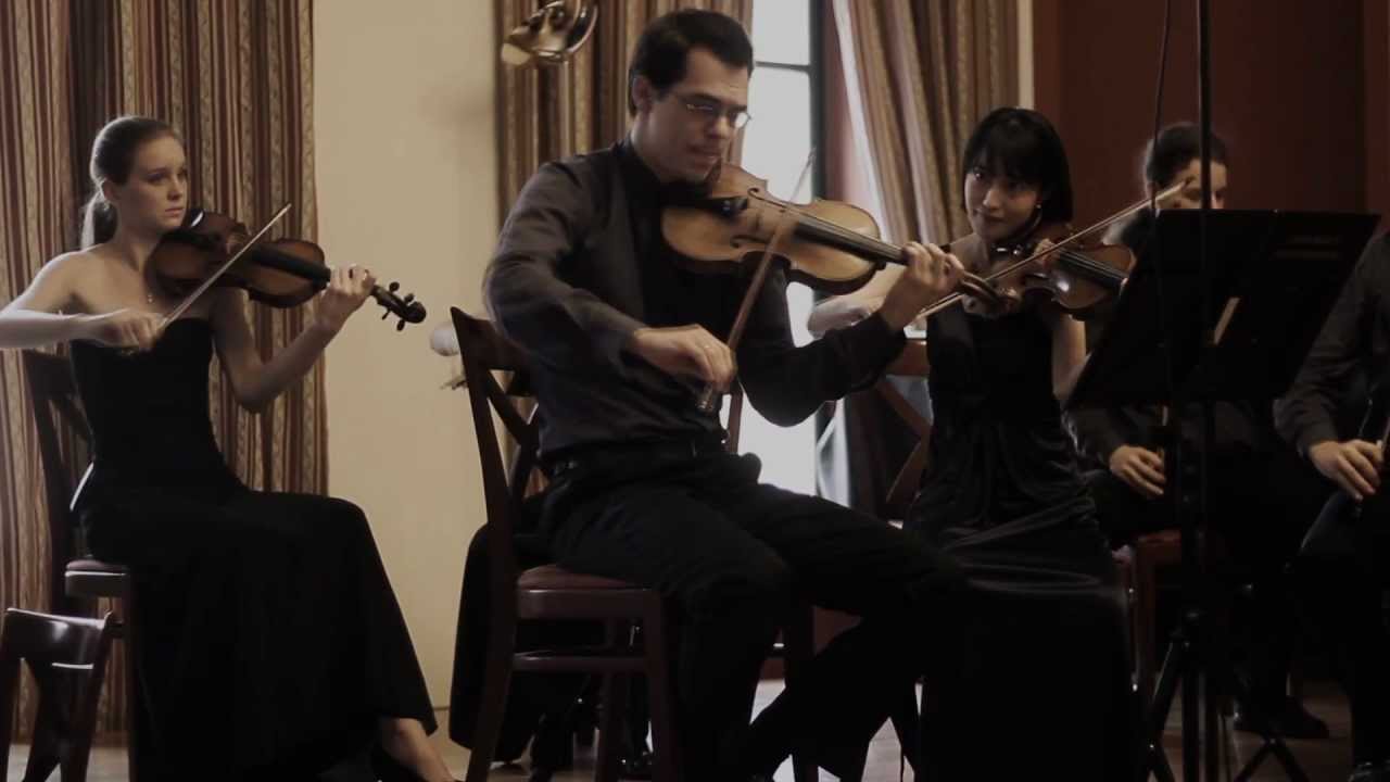 Anima Musicae Chamber Orchestra - YouTube
