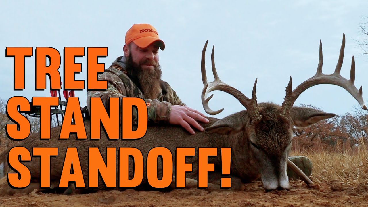 Sean Lundy in the Whitetail Woods! Tree Stand SUCCESS! - YouTube